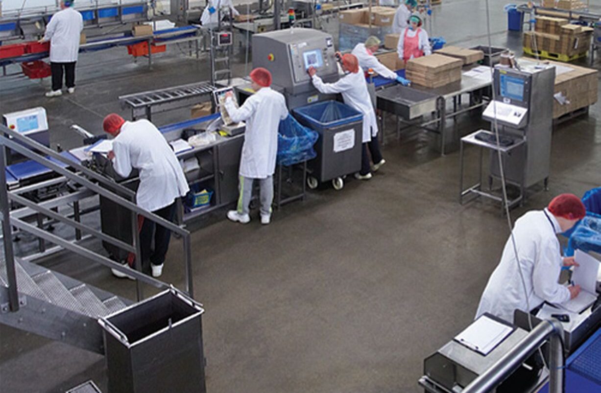 Fish Processing Business in Tanzania | miamiatz